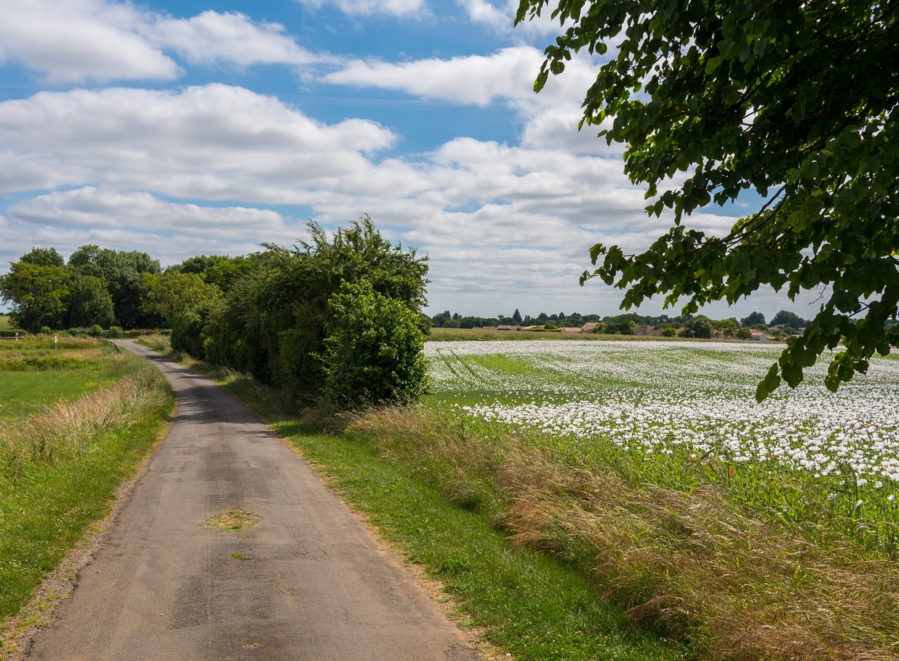 À quel moment régler le fermage ? | L'Agriculture Drômoise